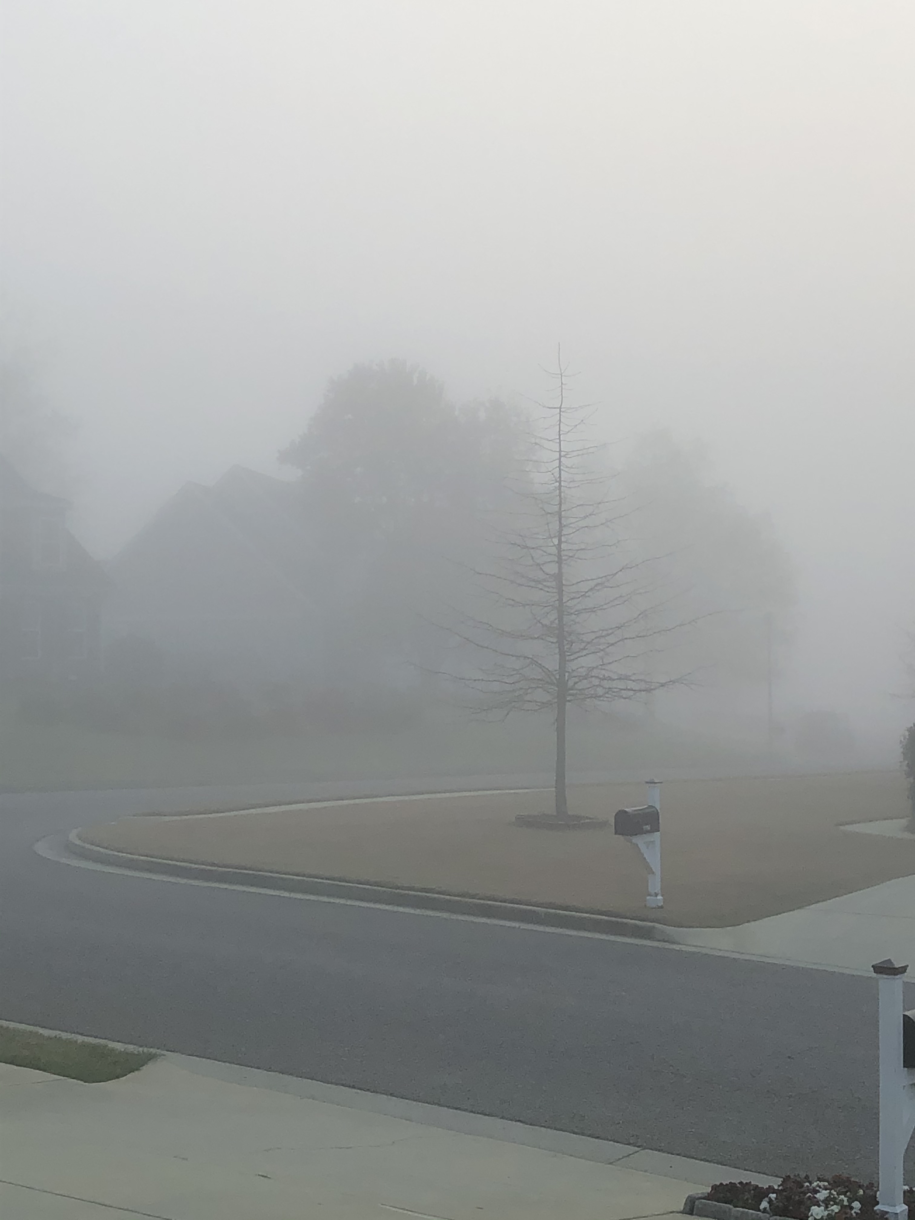 Limited Visibility – Picture This